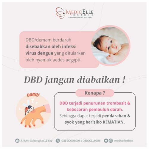Mengapa Vaksinasi Demam Berdarah Dengue Sangat Penting? - MedicElle Clinic